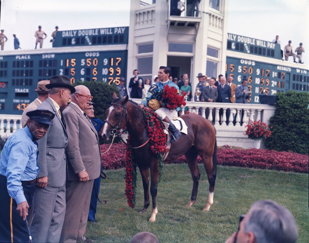 How Thoroughbred sire line success rates vary by surface | TwinSpires