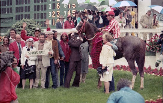 150 years of Kentucky Derby winners: 1975-2023 | TwinSpires