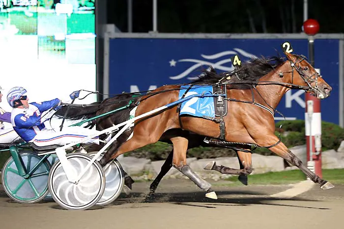 Upcoming Harness Races For The Week of September 6th | TwinSpires