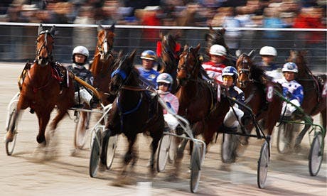 Harness racing picks for Cal Expo | TwinSpires