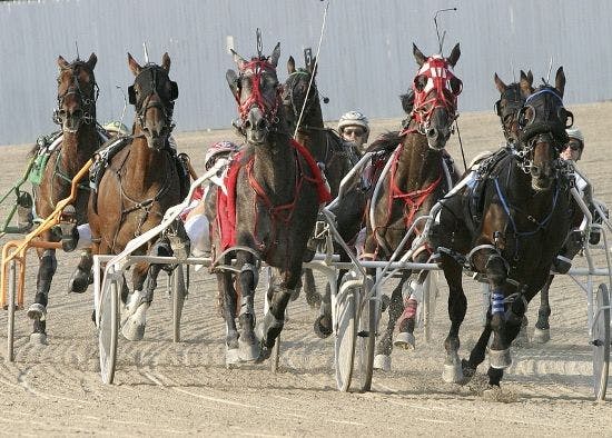 Harness Handicapping Just For Fun With A Simple System | TwinSpires