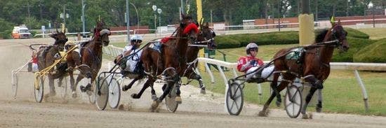 Harness Handicapping - You Have To Shop Around | TwinSpires