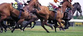 Australia Racing Preview for 1/4/2014 | TwinSpires
