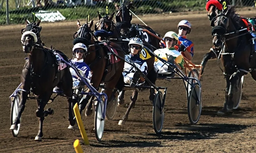 Australian harness racing at Redcliffe | TwinSpires