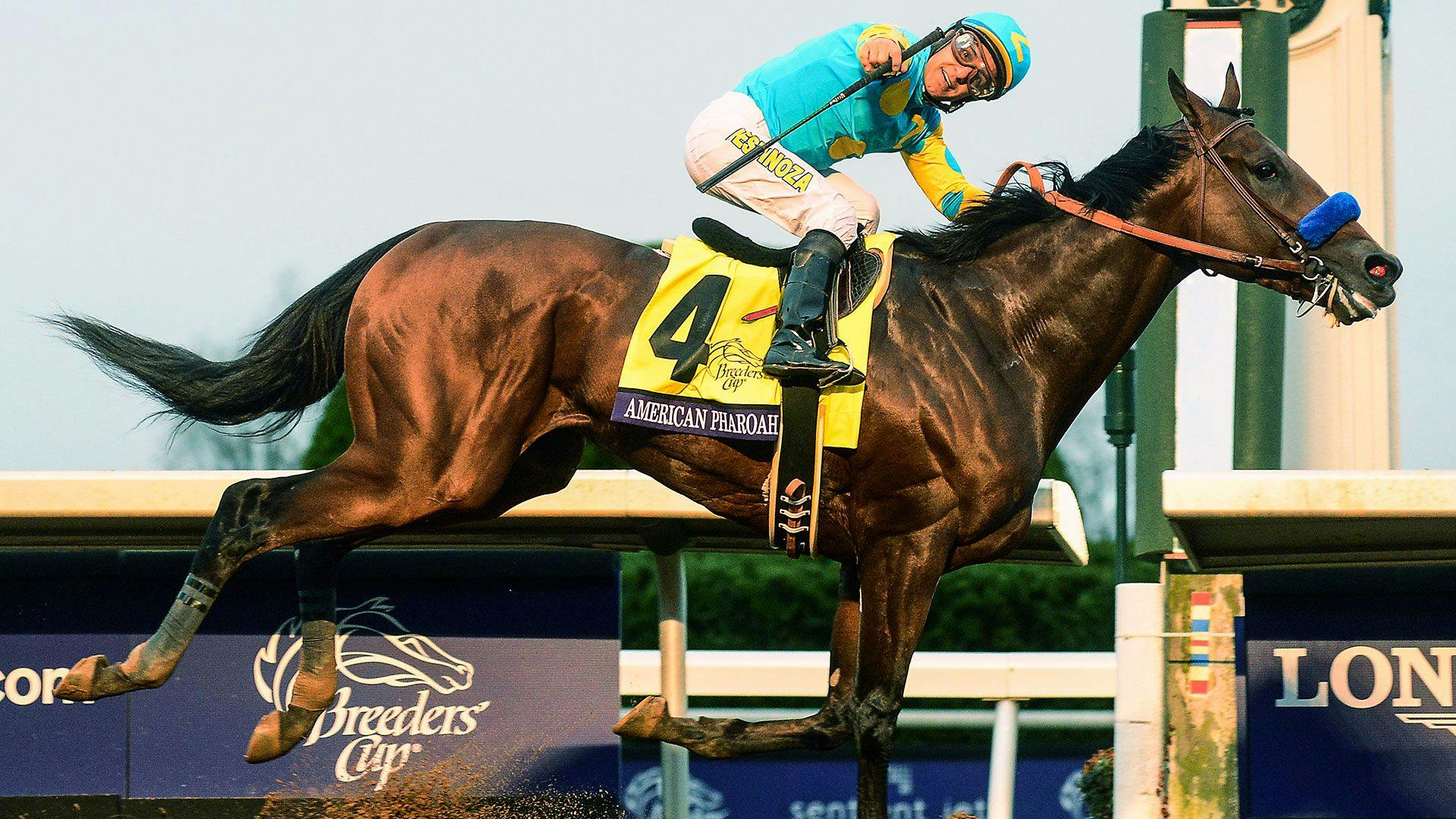 Let's Catch Up With American Pharoah | TwinSpires