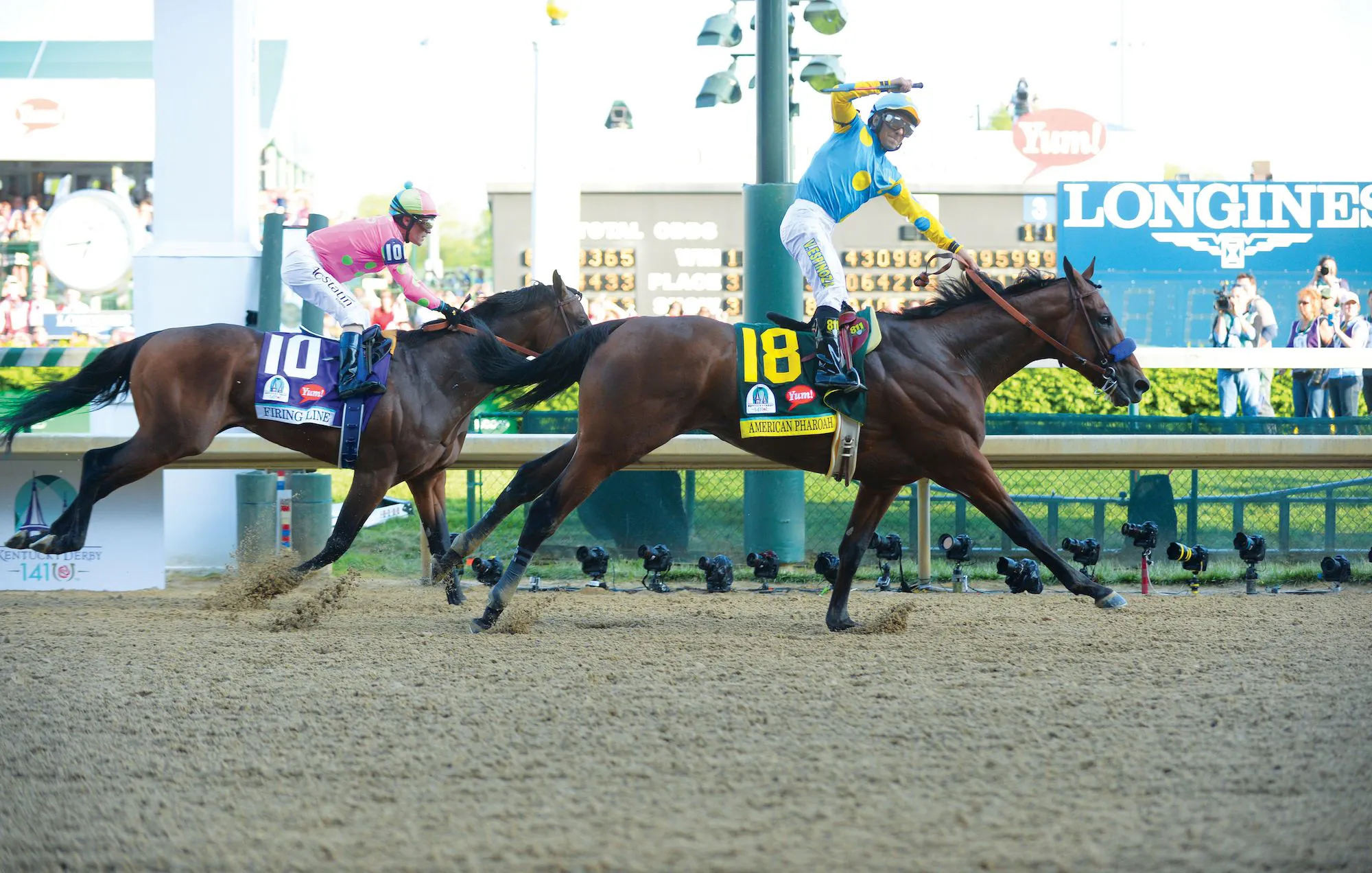 American Pharoah: 10 facts about the legendary race horse & | TwinSpires
