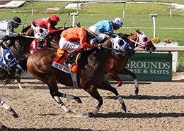 Fair Grounds Stakes Race Preview for Jan. 13, 2018 | TwinSpires