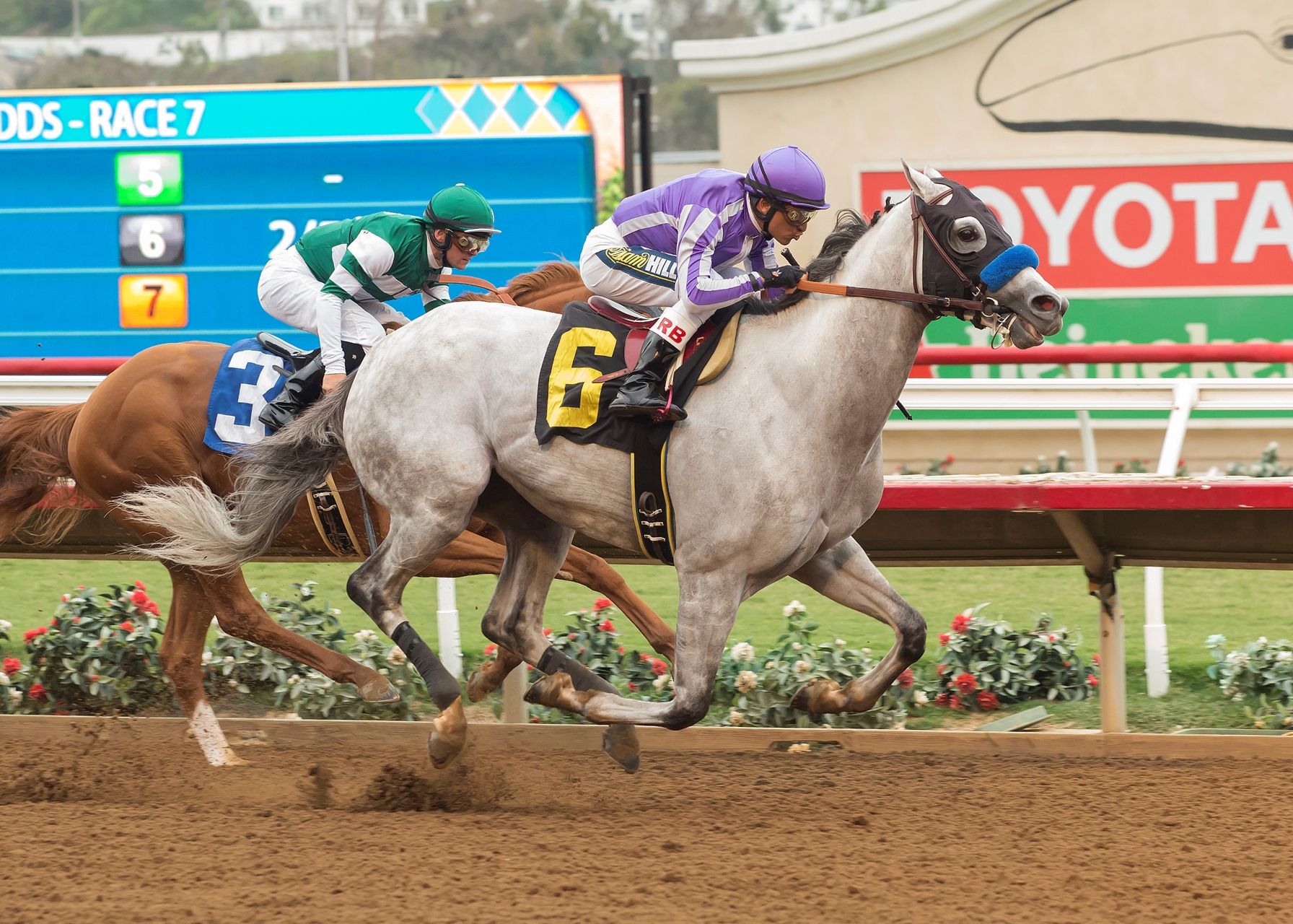 Thoroughbred, Harness, Standarbred, Quarter Horse Racing | TwinSpires