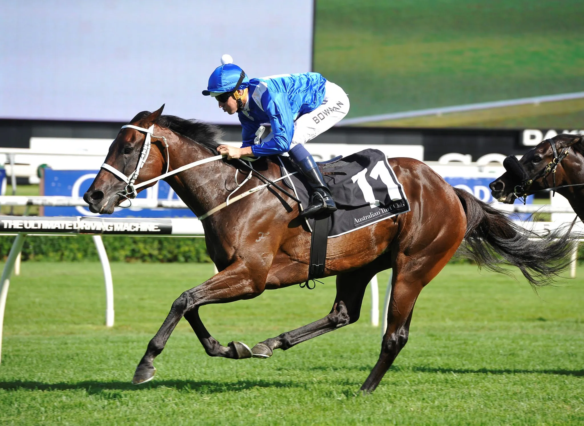 Winx Bids for Historic Fourth Straight Cox Plate Victory | TwinSpires