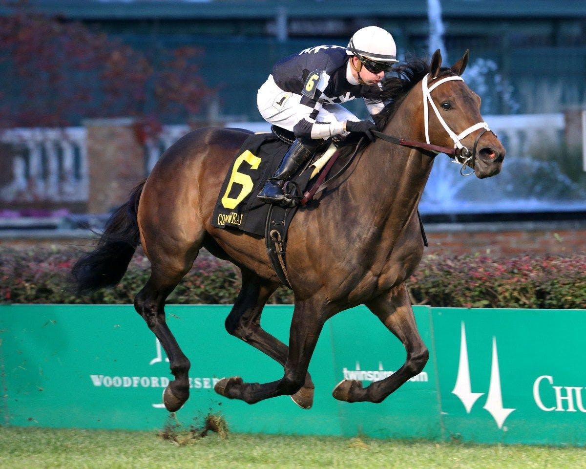 Four Stakes Races Highlight Final Fair Grounds Cards of 2017 | TwinSpires