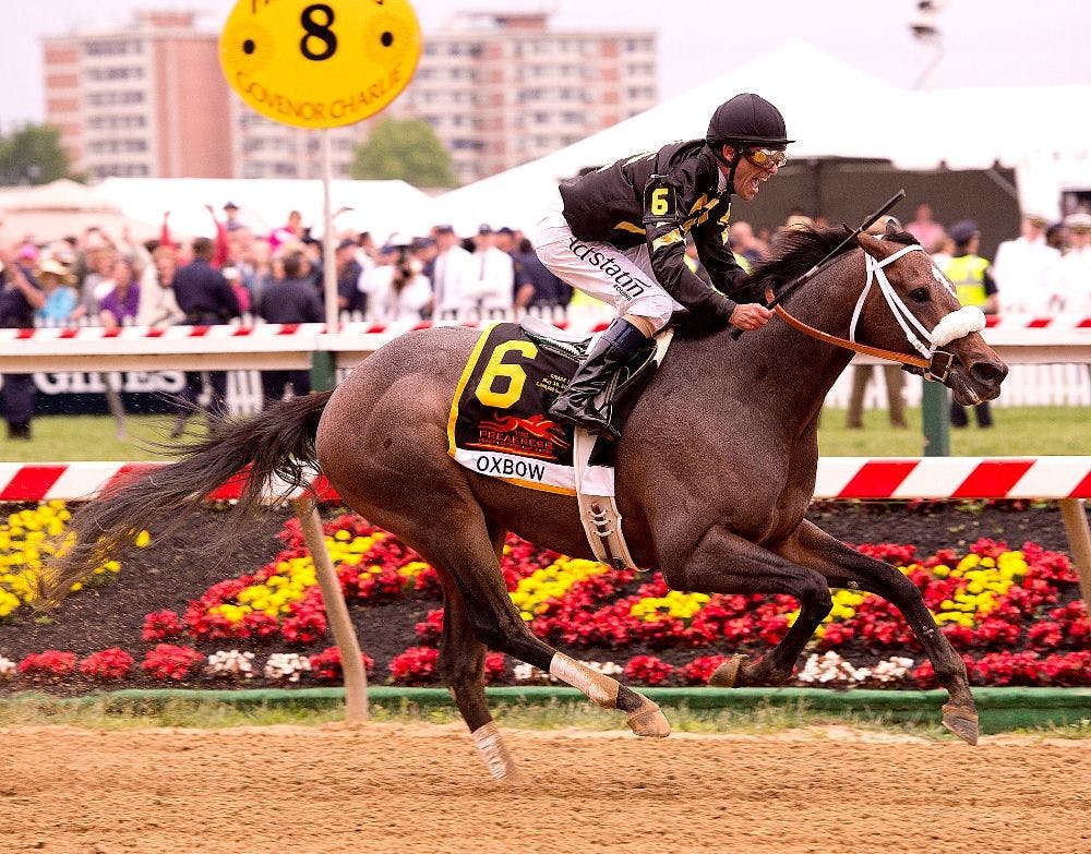2019 Preakness Stakes Jockey Assignments, Facts and Trends | TwinSpires