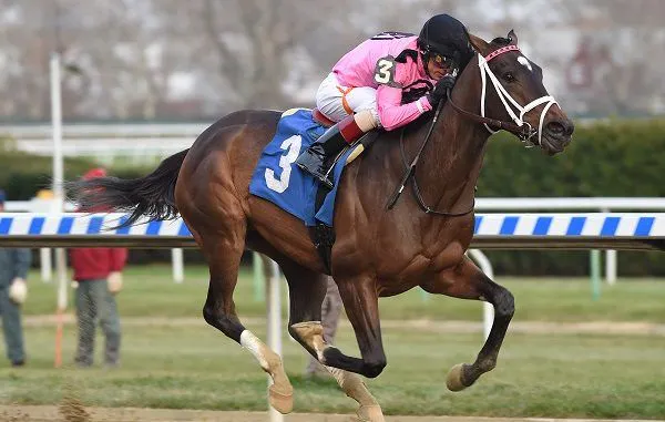 Thoroughbred, Harness, Standarbred, Quarter Horse Racing | TwinSpires