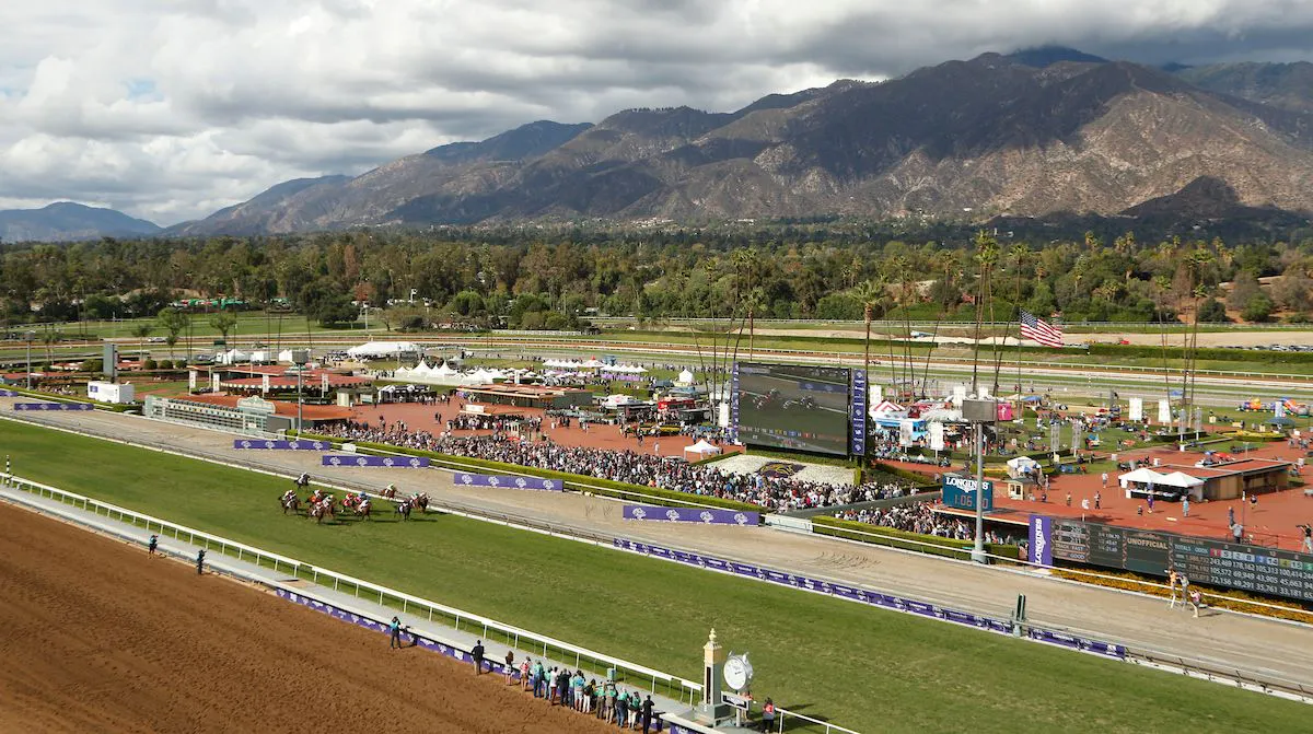 Dirt, turf, and synthetic: An introduction to racing surface | TwinSpires