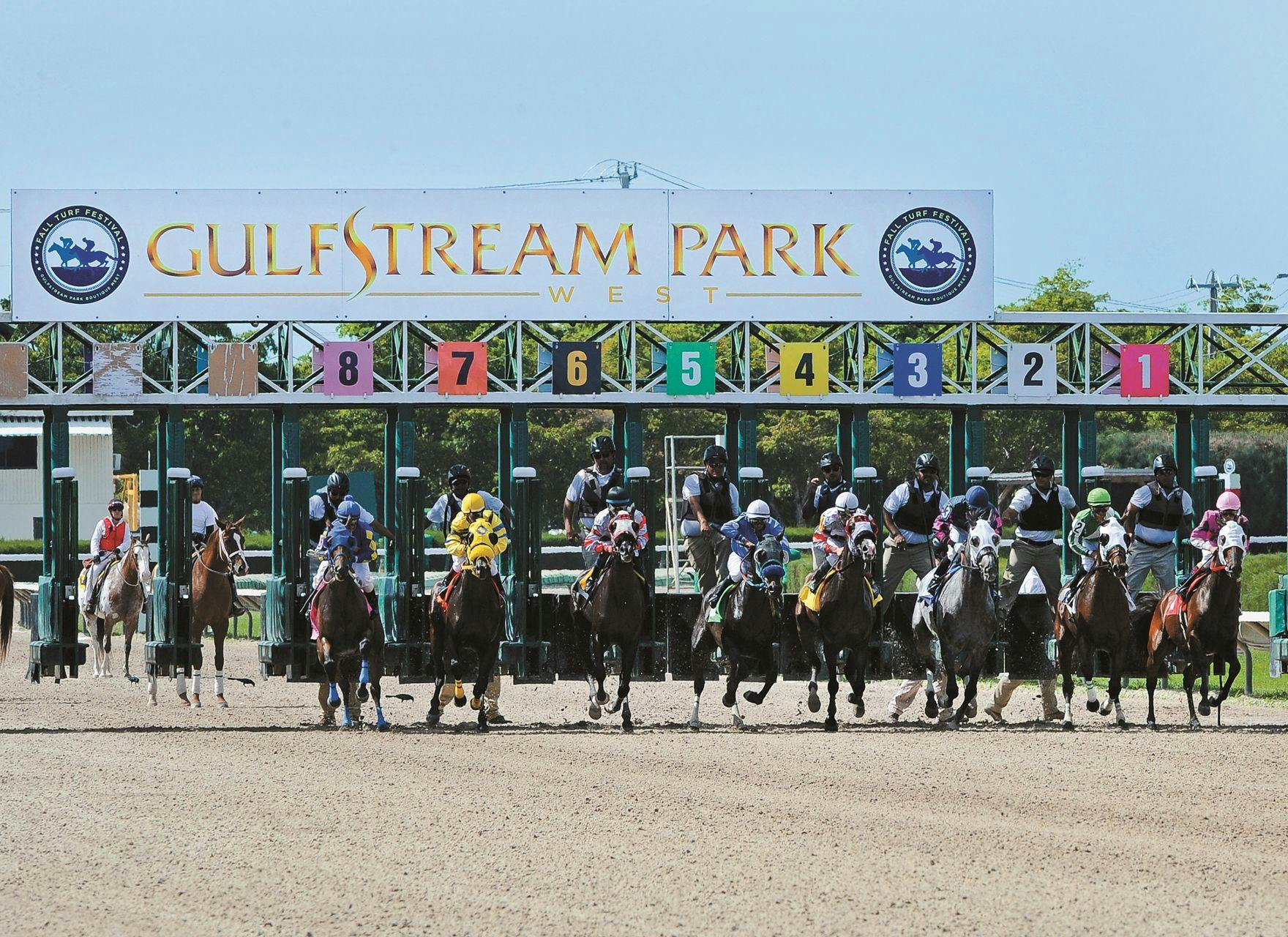 Gulfstream Park: Stakes spot plays for Jan. 30 | TwinSpires