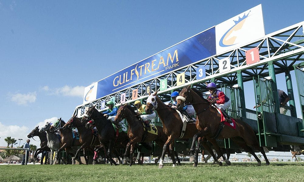 Weanling, yearlings, juveniles: Exploring and explaining rac | TwinSpires