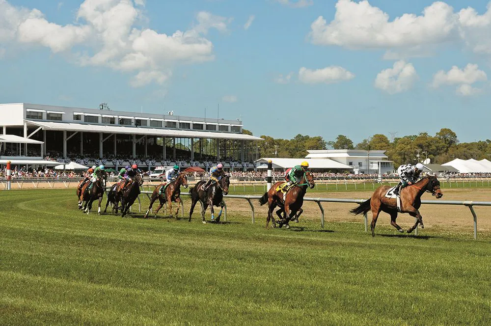 BetAmerica’s horse racing pick of the day | TwinSpires