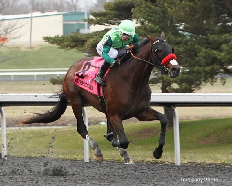 Blended Citizen Prevails in Competitive Jeff Ruby Steaks | TwinSpires