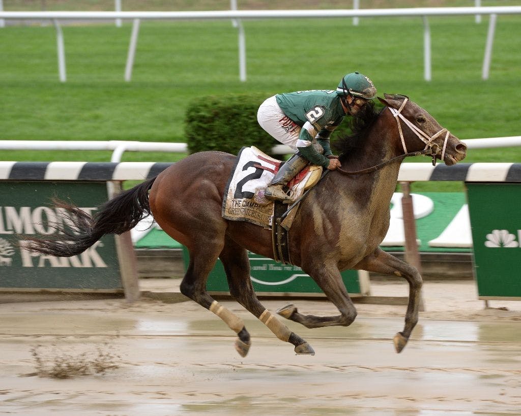 How Knowing a Horse's Family History Can Lead to Winning Bet | TwinSpires