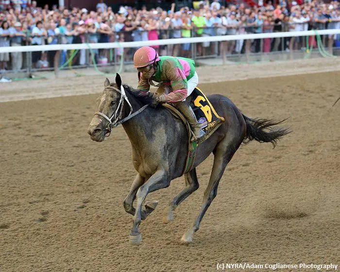 From Last to First, Sippican Harbor Wins the Spinaway | TwinSpires