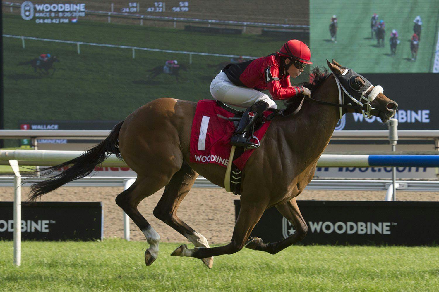 Huge, Competitive Field Assembles for Summer Stakes | TwinSpires