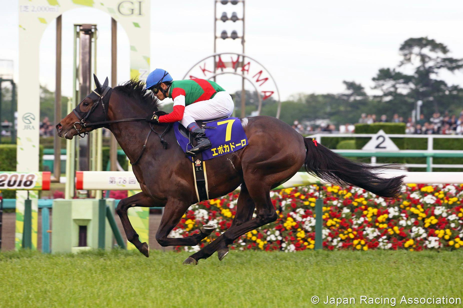 Epoca d'Oro Seeks Another Classic Win in Kikuka Sho | TwinSpires