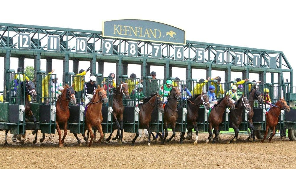 What are morning line odds, and what do they mean? | TwinSpires