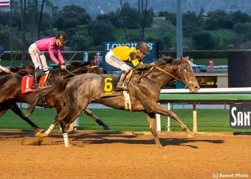 2019 Kentucky Derby Contender Profile: Gunmetal Gray | TwinSpires