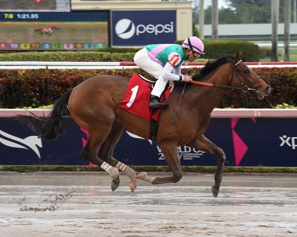 Keeler Johnson's Kentucky Derby Top 10: Where Does Hidden Sc | TwinSpires