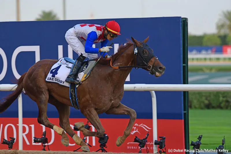 Plus Que Parfait Rebounds in UAE Derby | TwinSpires