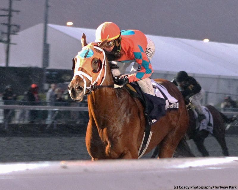 How to bet the 2021 Dinner Party Stakes | TwinSpires