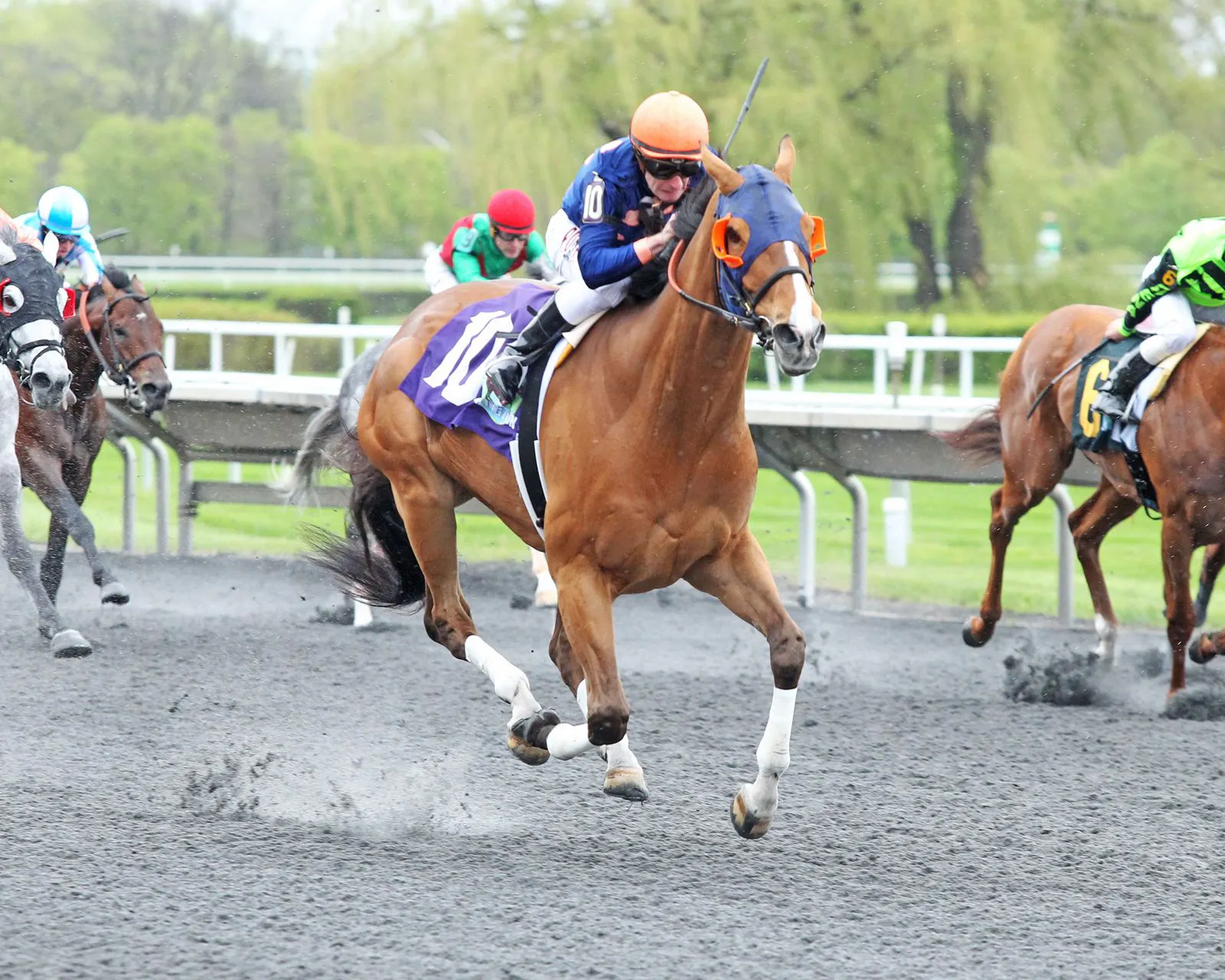 BetAmerica’s horse racing pick of the day | TwinSpires