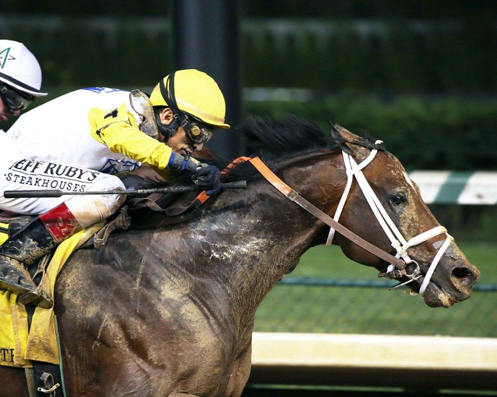 Thoroughbred, Harness, Standarbred, Quarter Horse Racing | TwinSpires