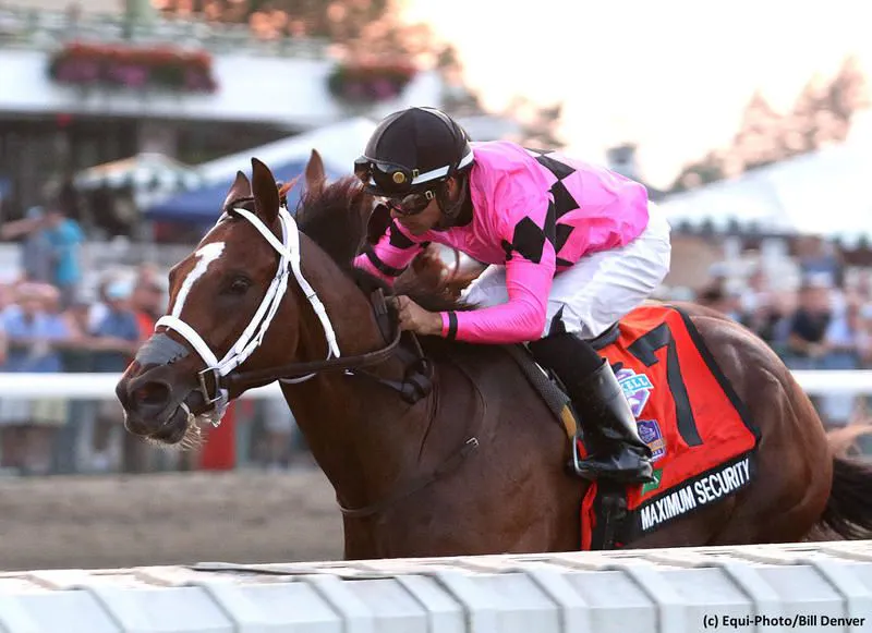 Is Maximum Security vulnerable in the Bold Ruler Handicap? | TwinSpires