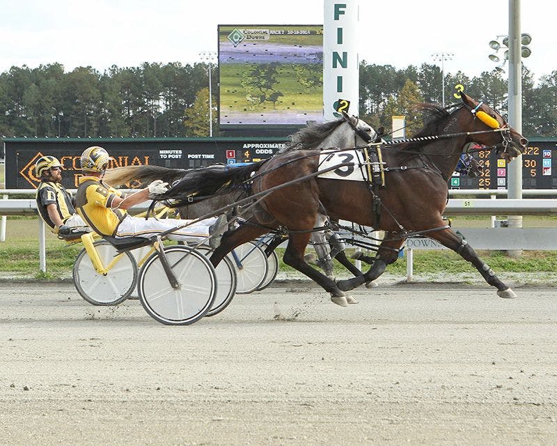 Harness racing: Profit Picks | TwinSpires