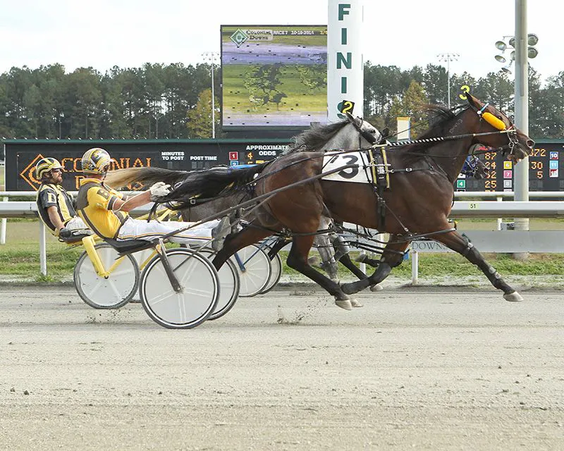 Australian harness continues at Redcliffe | TwinSpires