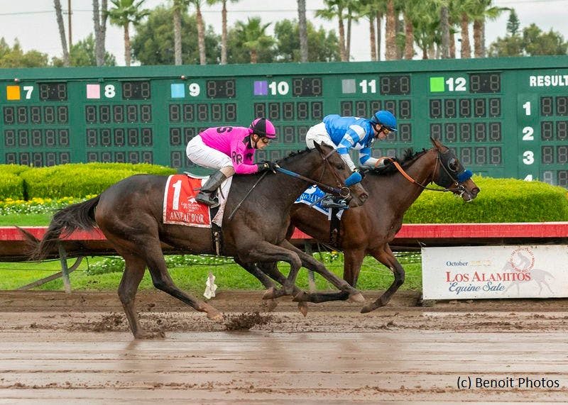 Kentucky Derby contender profile: Thousand Words | TwinSpires