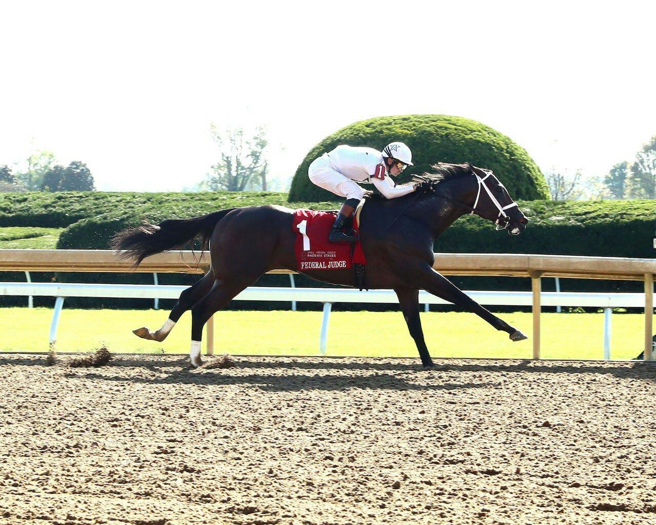 Best Bets and Quick Picks: Federal Judge drops in class | TwinSpires