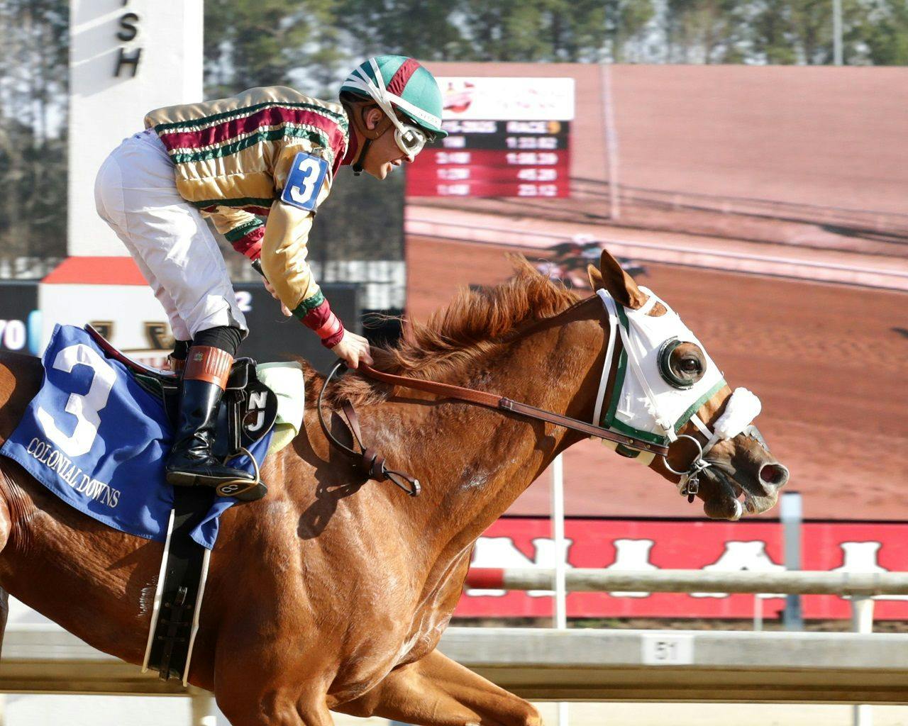 Racing Roundtable: Virginia Derby, Oaks, KDFW and more | TwinSpires