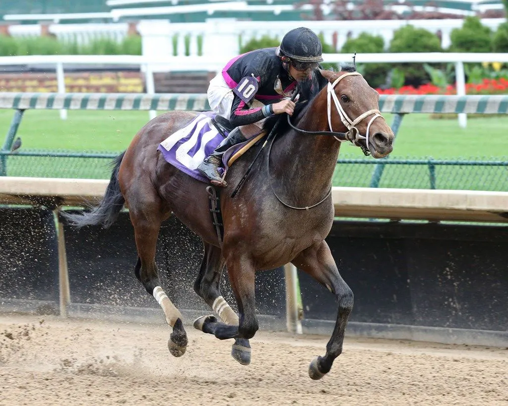 How to bet the Kelly's Landing Stakes | TwinSpires