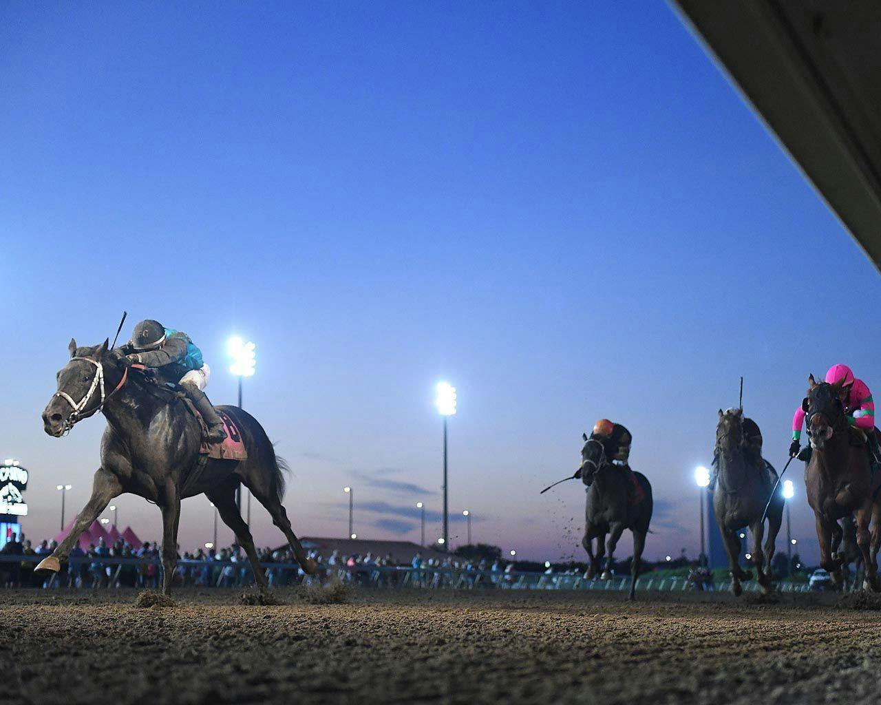Catching My Eye: Inflated Weekend Figures? | TwinSpires
