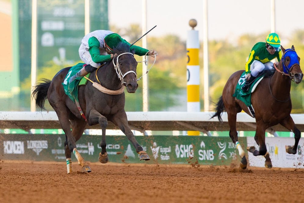 Kentucky Derby pedigree profile: Al Haram | TwinSpires