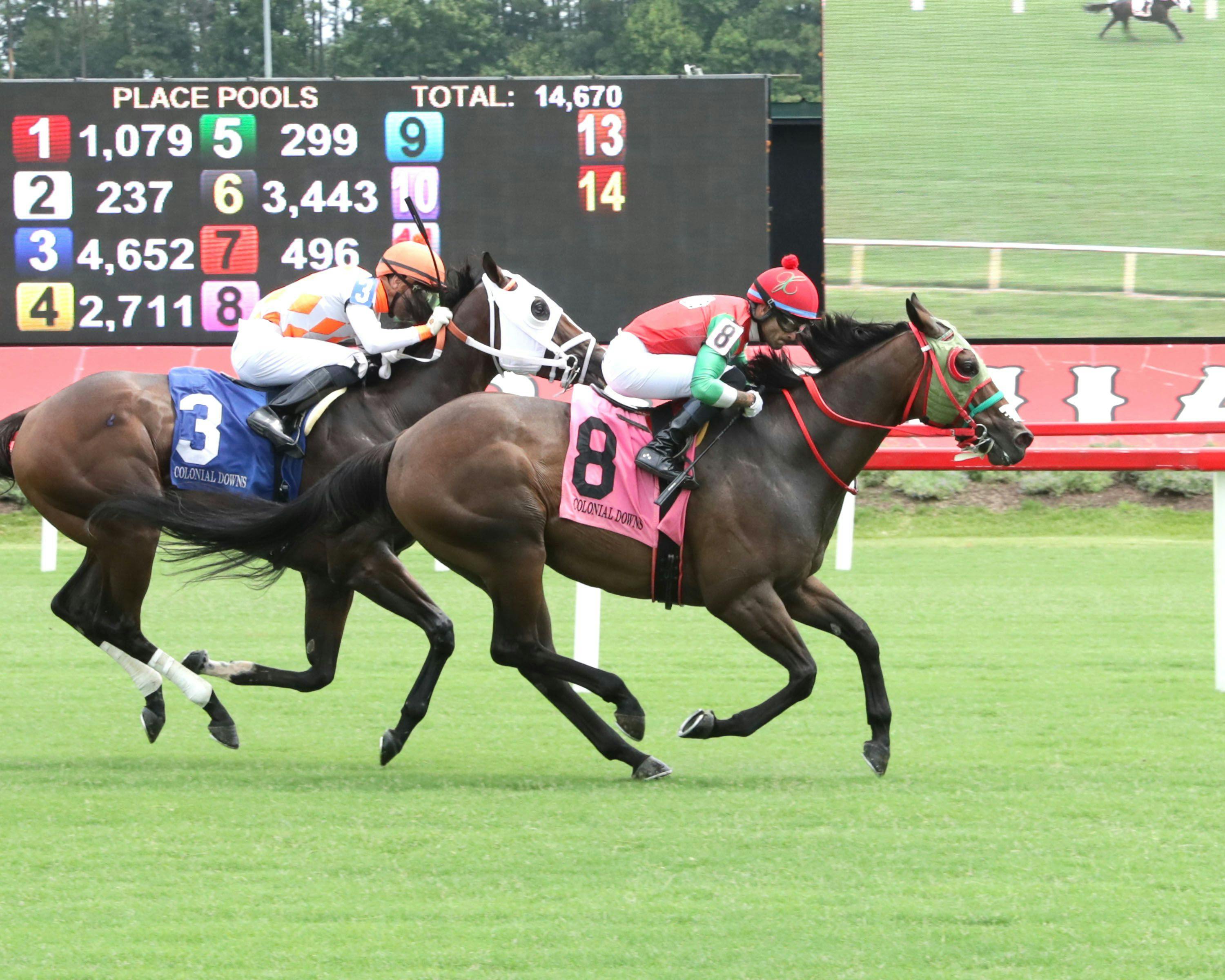 Catching My Eye at Colonial Downs Week 2 | TwinSpires