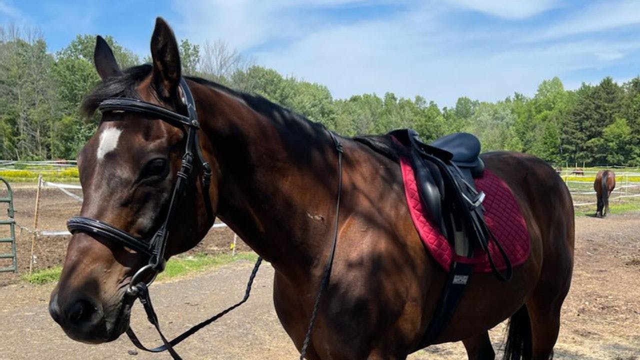 After the Racetrack: Beckham Bend | TwinSpires