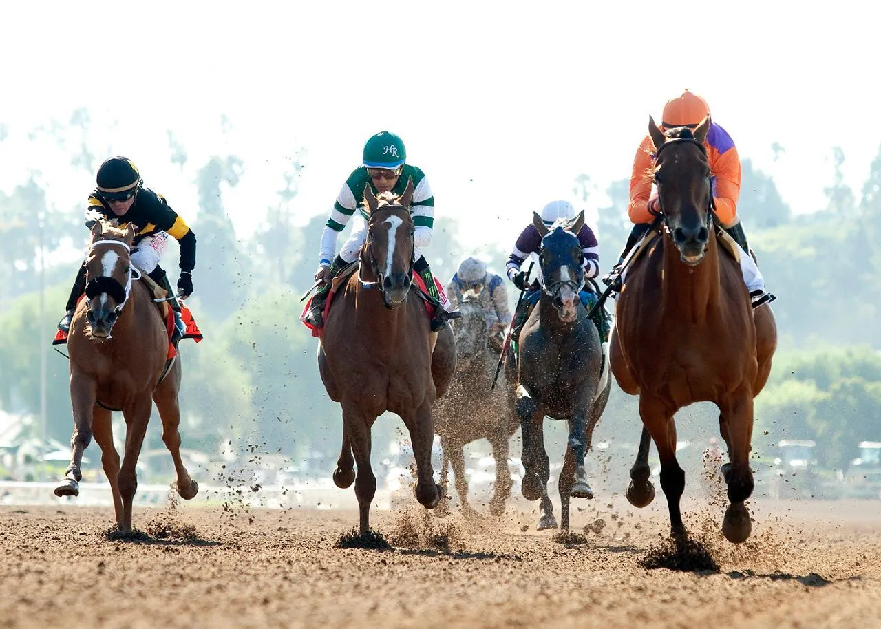 How to bet the 2024 Kilroe Mile Stakes | TwinSpires