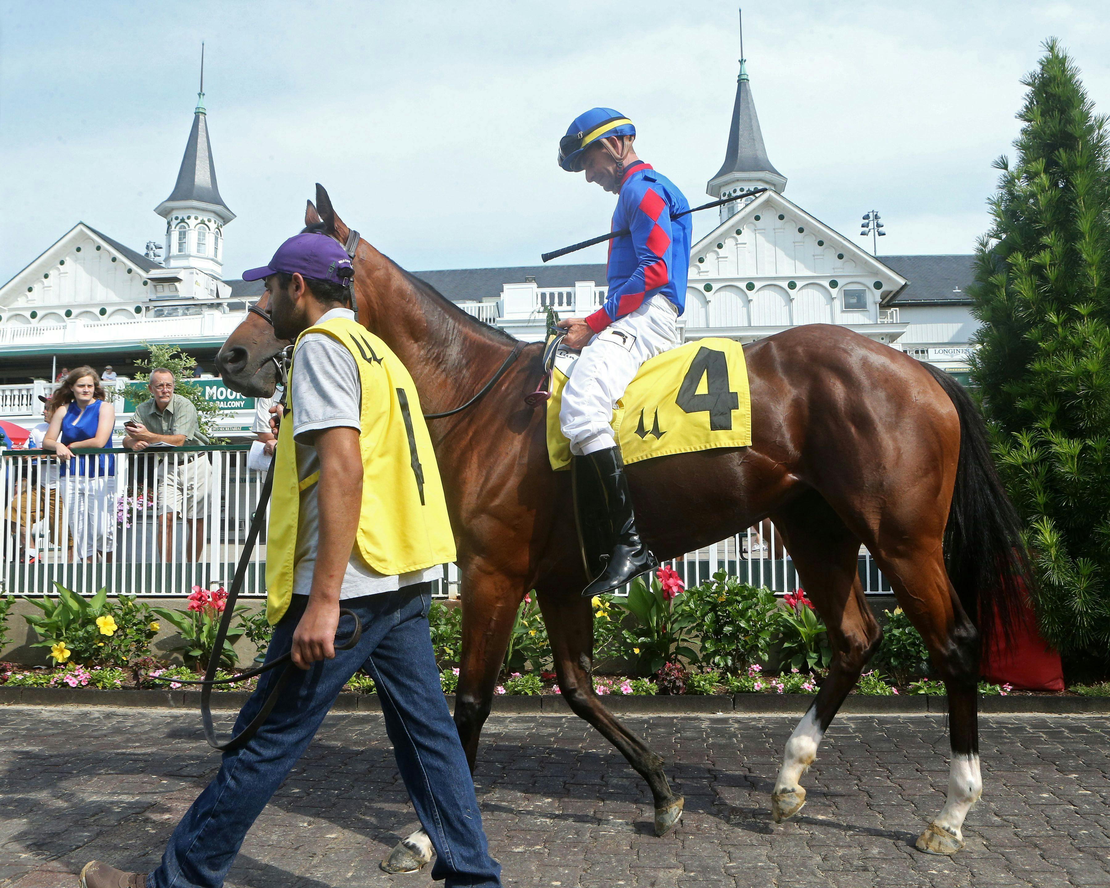 Cold Exacta is the value play in Roxelana Stakes | TwinSpires