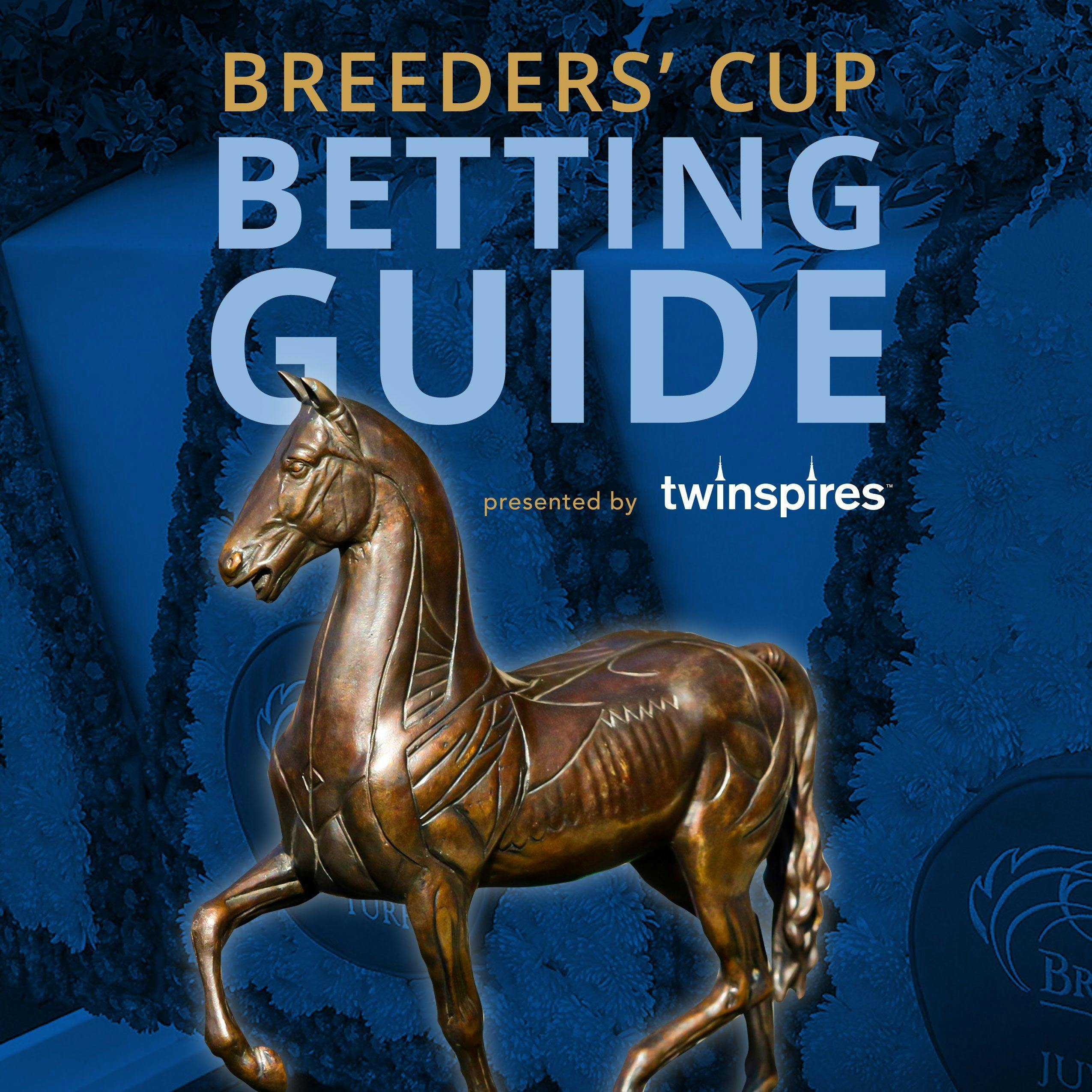 Free Horse Racing Picks, Tips & Expert Predictions | TwinSpires