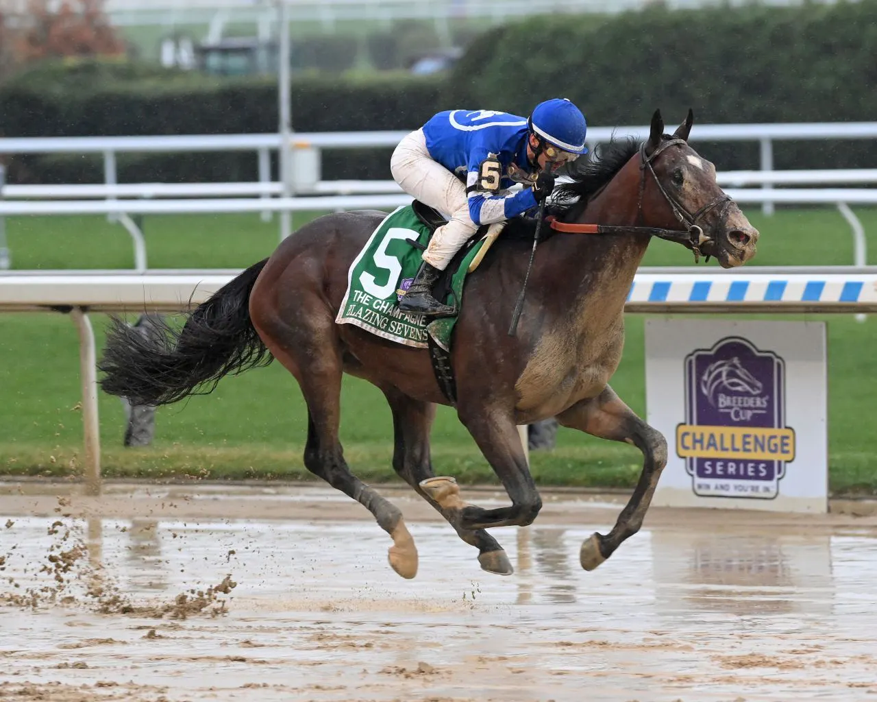 First-crop sires: Good Magic's Blazing Sevens, Curly Jack wi | TwinSpires