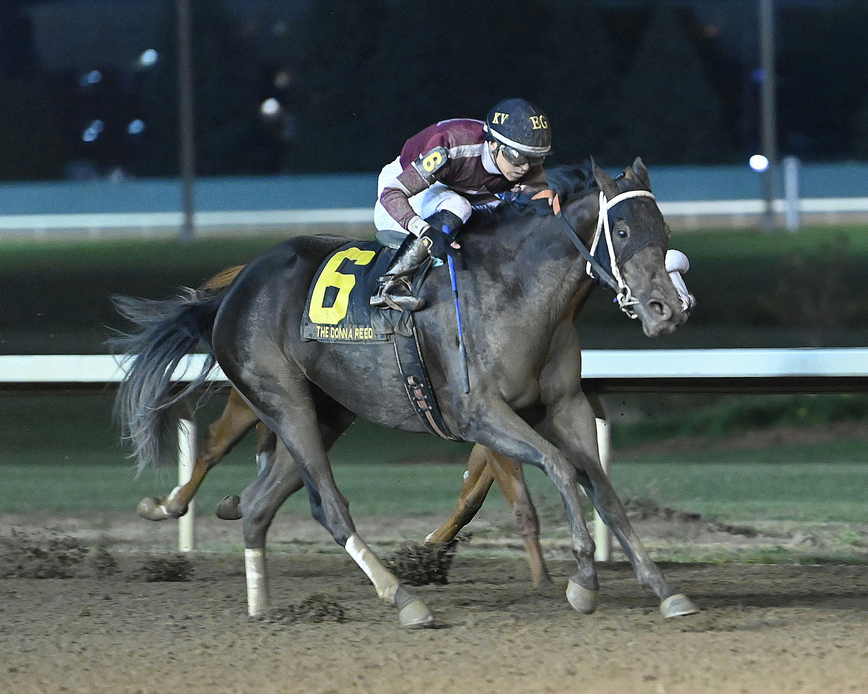 Best Bets and Quick Picks: Captain Barbossa can win return | TwinSpires