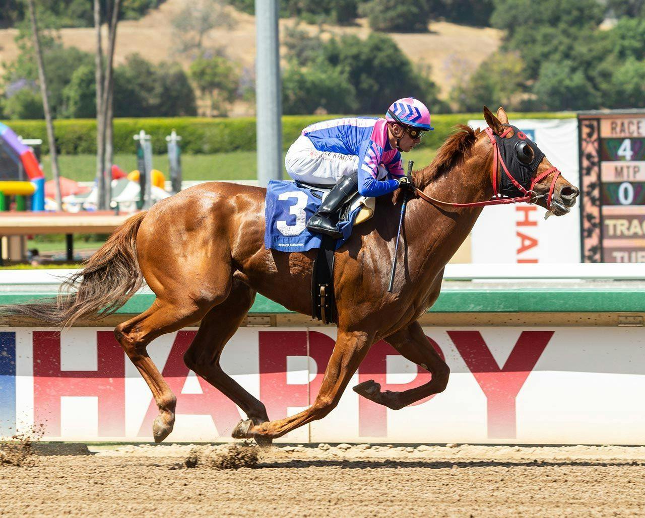 Santa Anita: Exotics Plays for the 2023 Kona Gold Stakes | TwinSpires