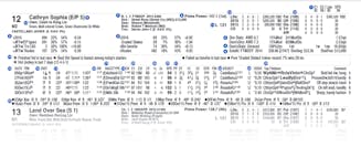 How to read a Brisnet horse racing program | TwinSpires